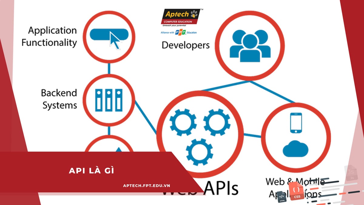 Cơ bản hàm api là gì và cách sử dụng trong lập trình web